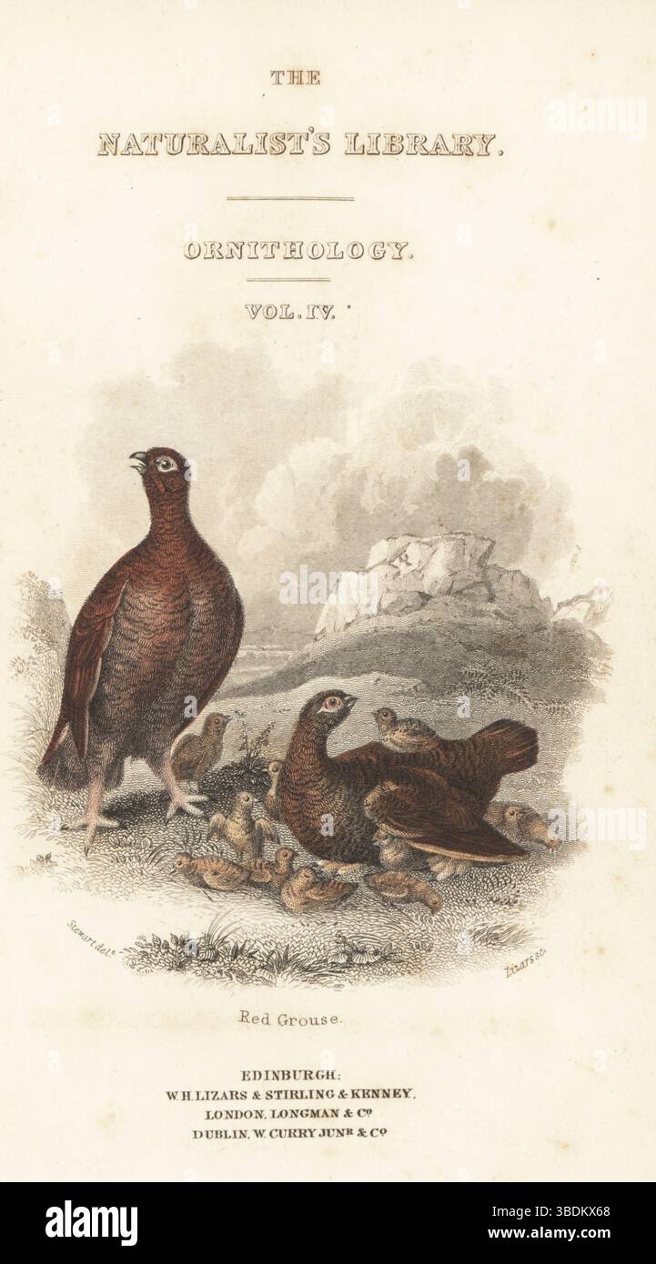 Title page with vignette of red grouse, Lagopus scoticus, male, female ...