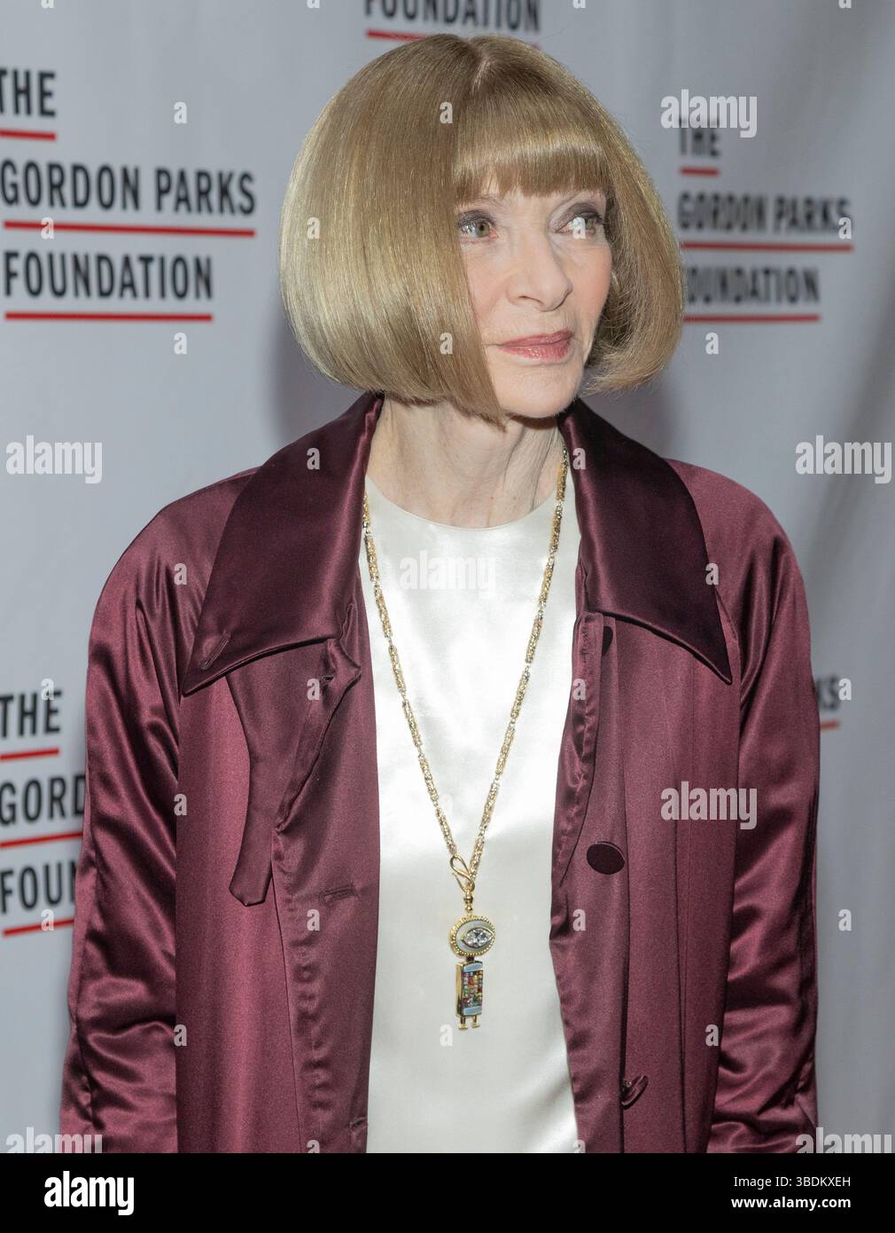 New York, NY - May 22, 2025: Anna Wintour attends Annual Gordon Parks ...
