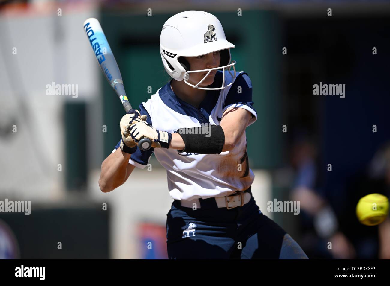 Samford's Linsey Hargis (77) during an NCAA college softball game ...