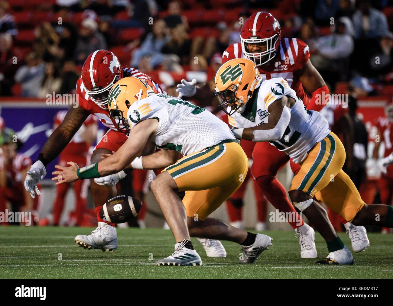 Calgary, Canada. 24th May, 2025. Edmonton Elks quarterback Cole Snyder, centre, dives on a ...