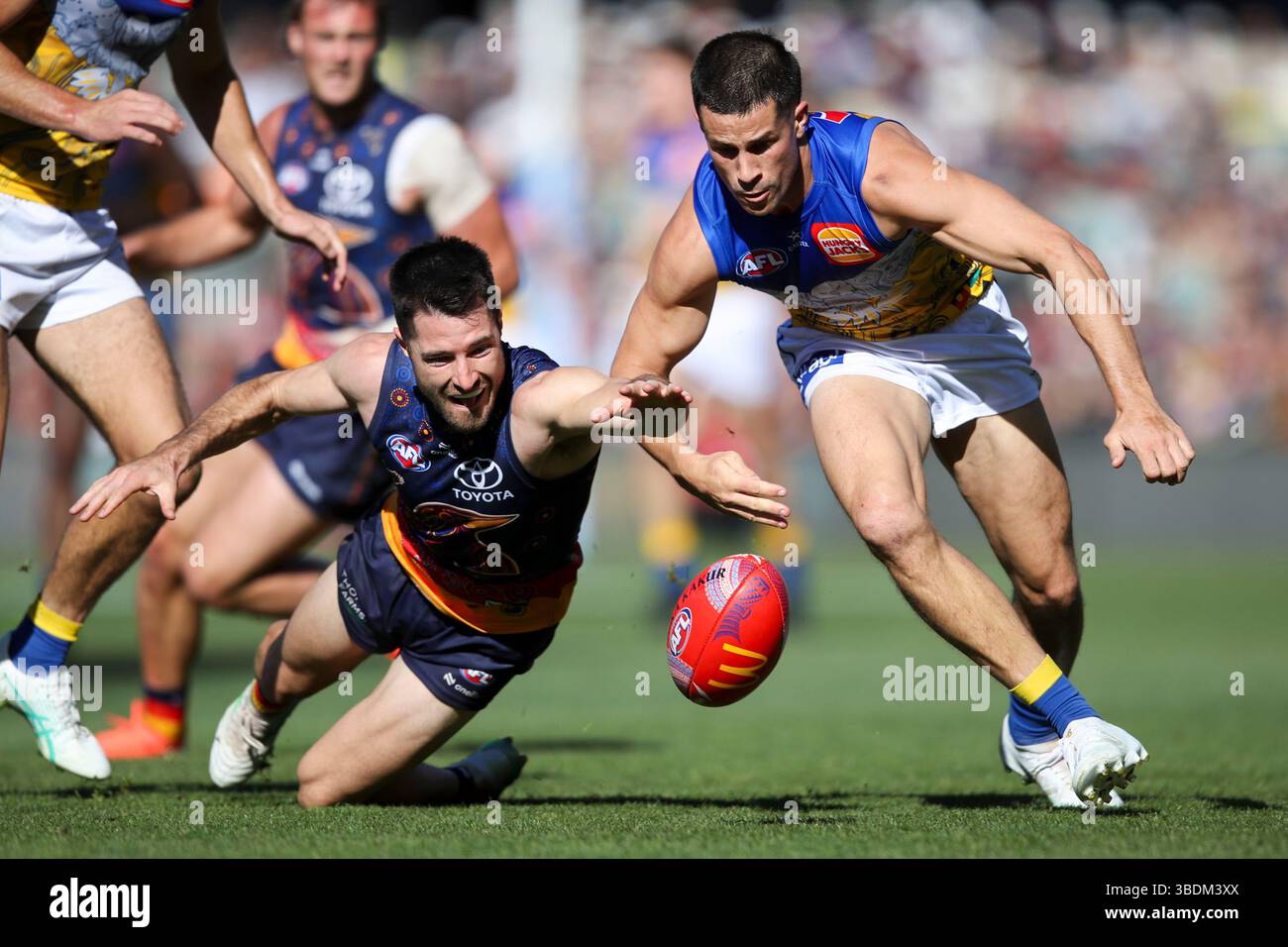 Adelaide, Australia. 25th May, 2025. Alex Neal-Bullen of the Crows and ...