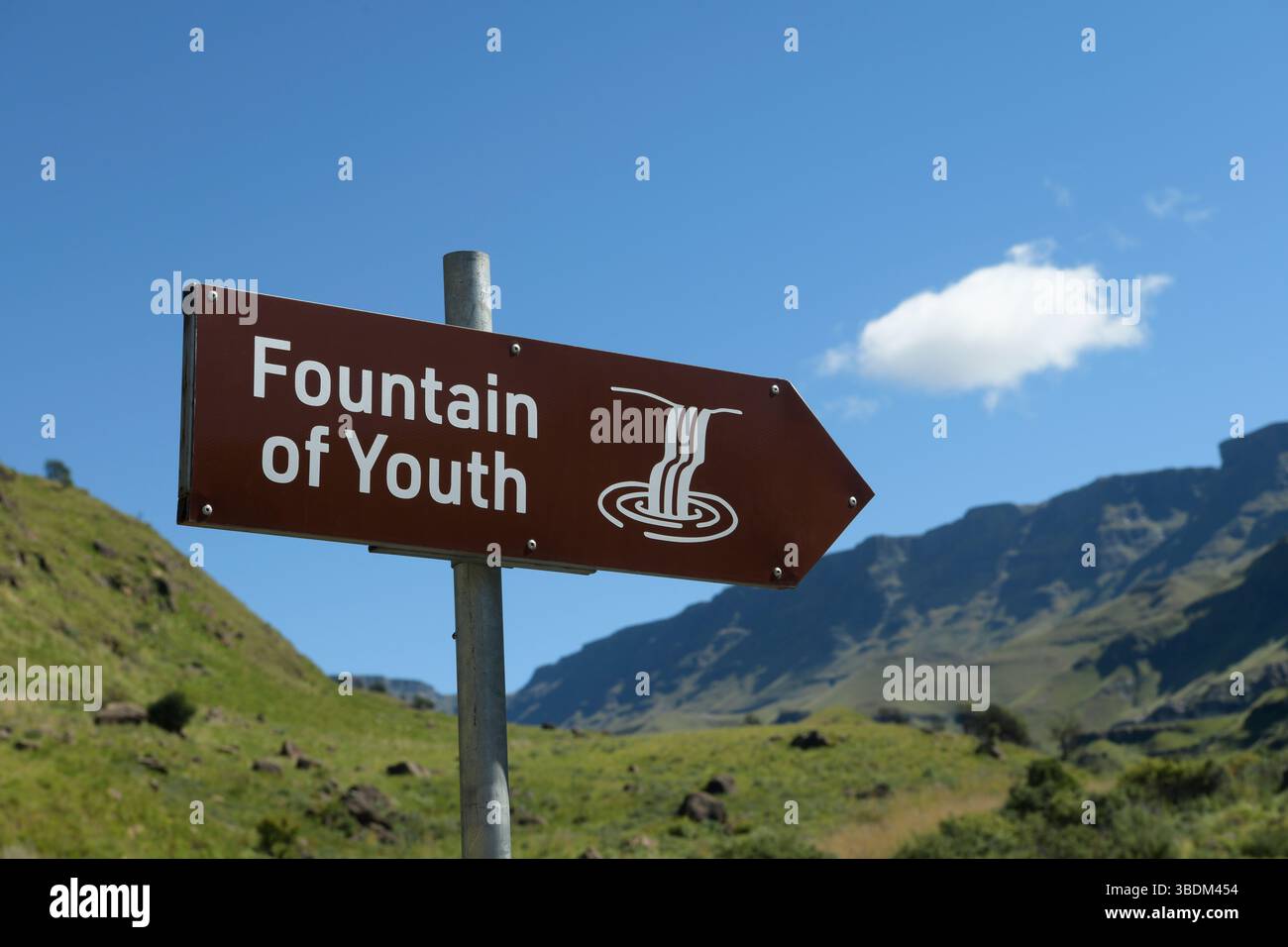 Road sign, Foutain of Youth, conceptual illustration, premise forever ...