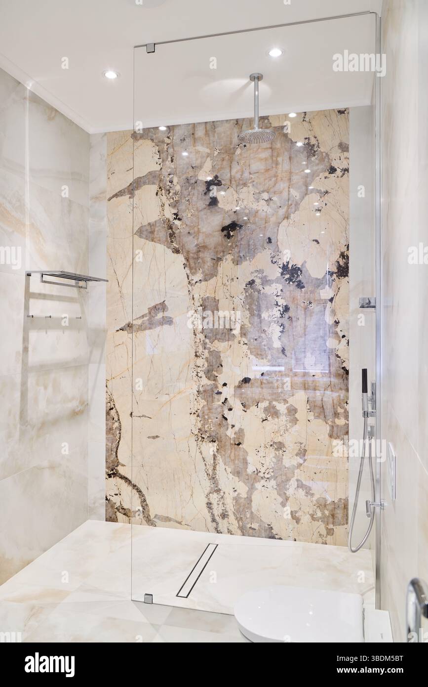 Explore the Elegant and Modern Shower Design Featuring a Beautiful ...