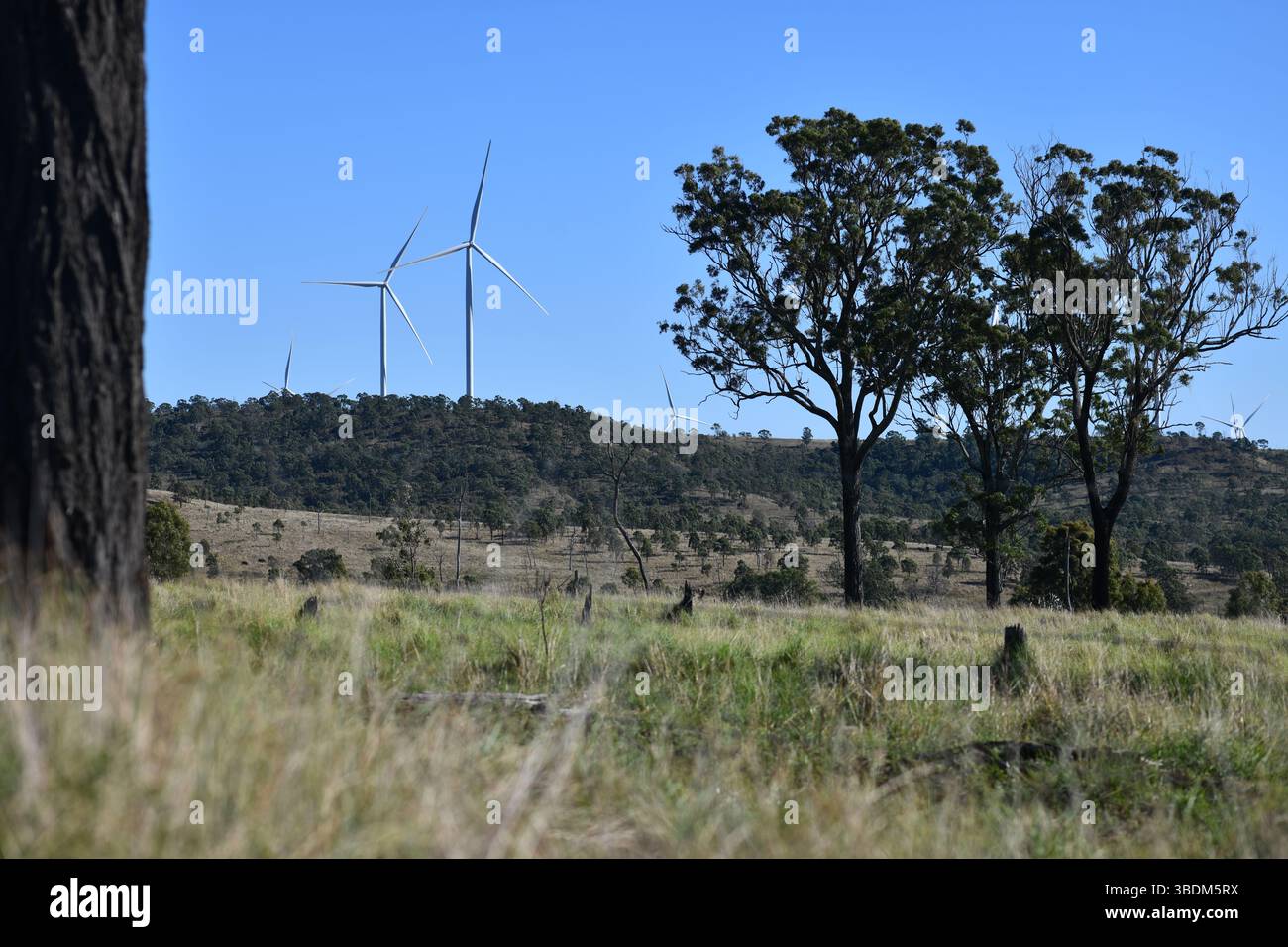 Wind turbines at the Coopers Gap Wind Farm, a 453 megawatt wind farm in ...