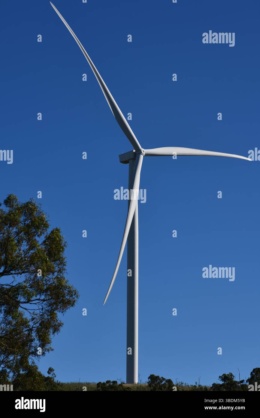 Wind turbines at the Coopers Gap Wind Farm, a 453 megawatt wind farm in ...