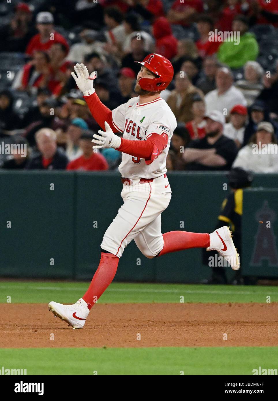 ANAHEIM, CA - MAY 24: Los Angeles Angels left fielder Taylor Ward (3 ...