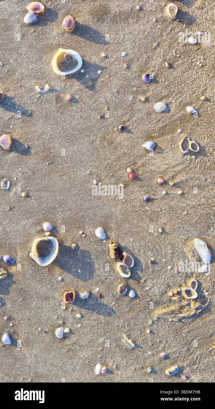 The texture of the beach soil forms a natural pattern due to sea water ...