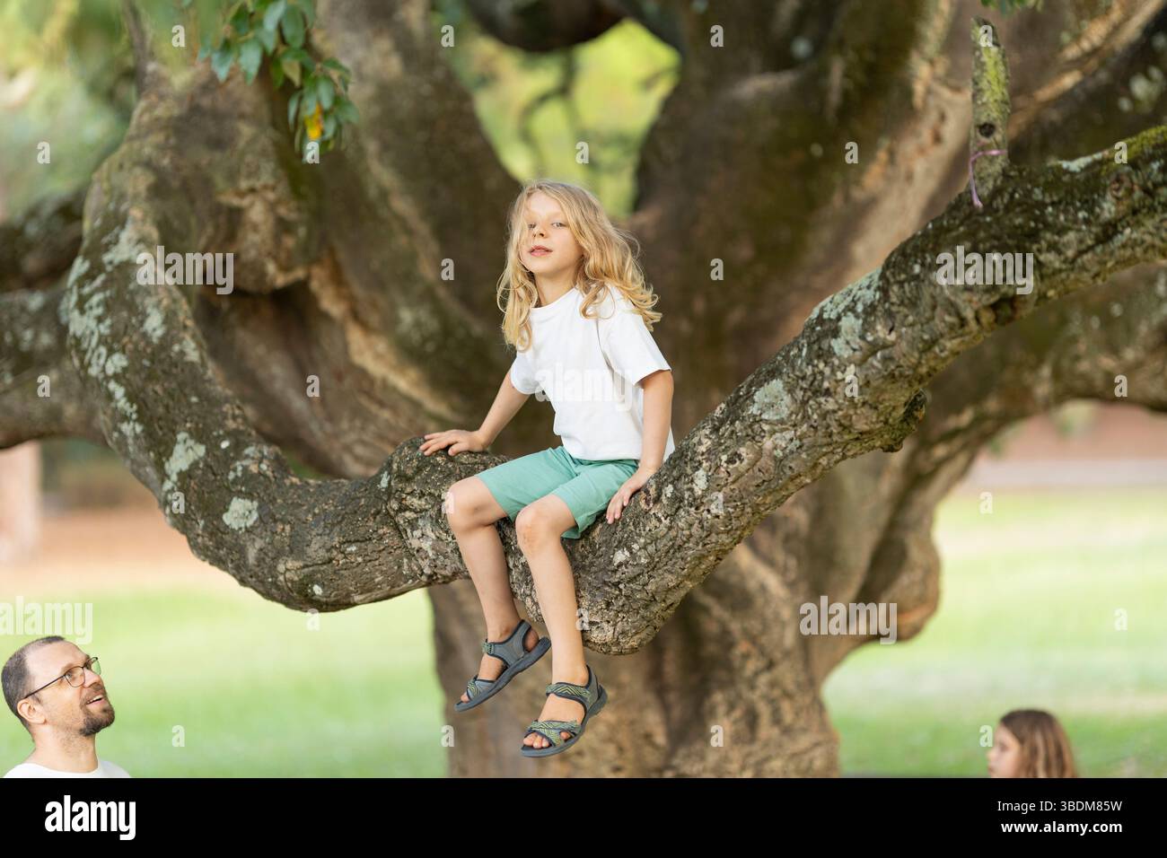 Blond child sitting on a big tree branch in a park observing nature ...