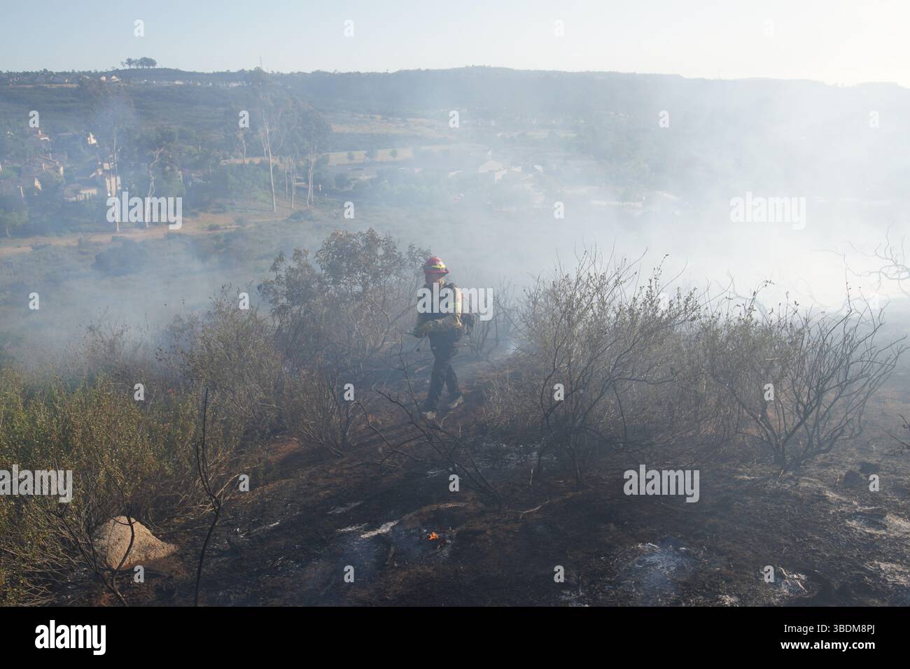 A firefighter contain the fire on the mountain. A brush fire broke out ...