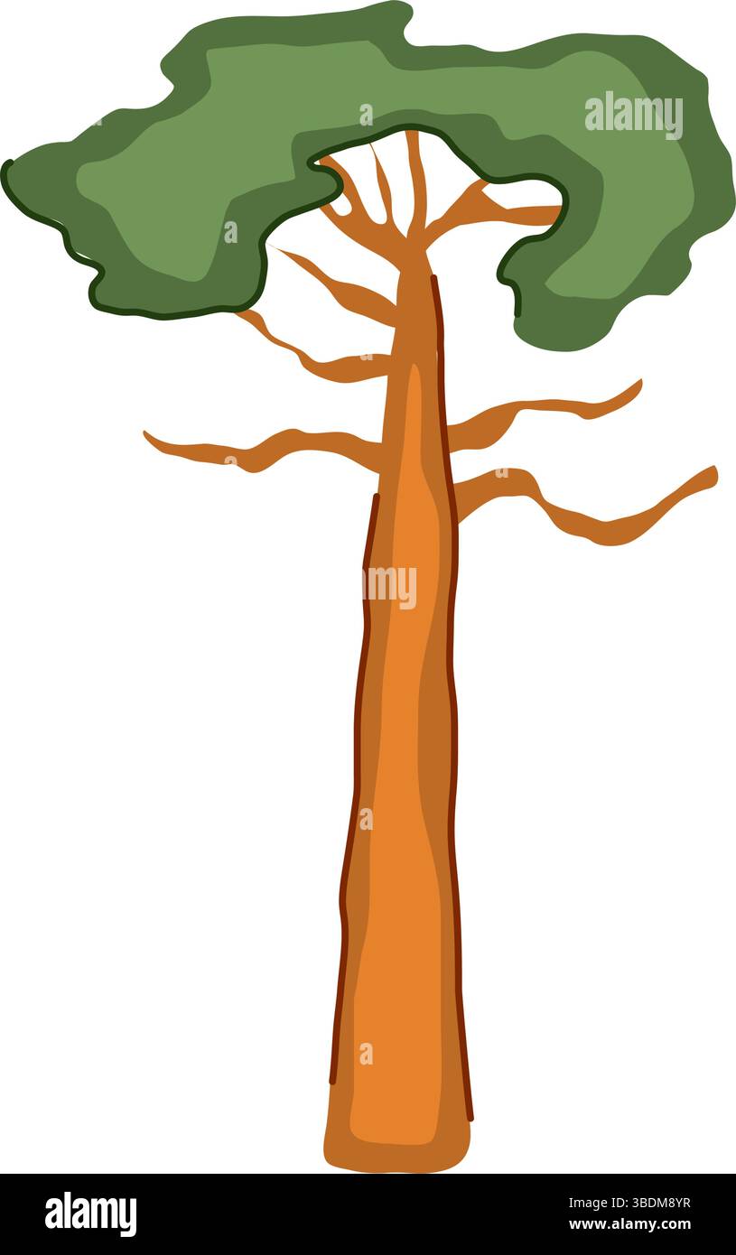 adansonia baobab tree cartoon vector illustration Stock Vector Image ...