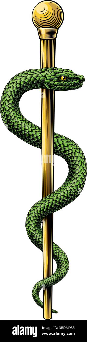 Rod of Asclepius Caduceus Medical Doctor Symbol Stock Vector Image ...