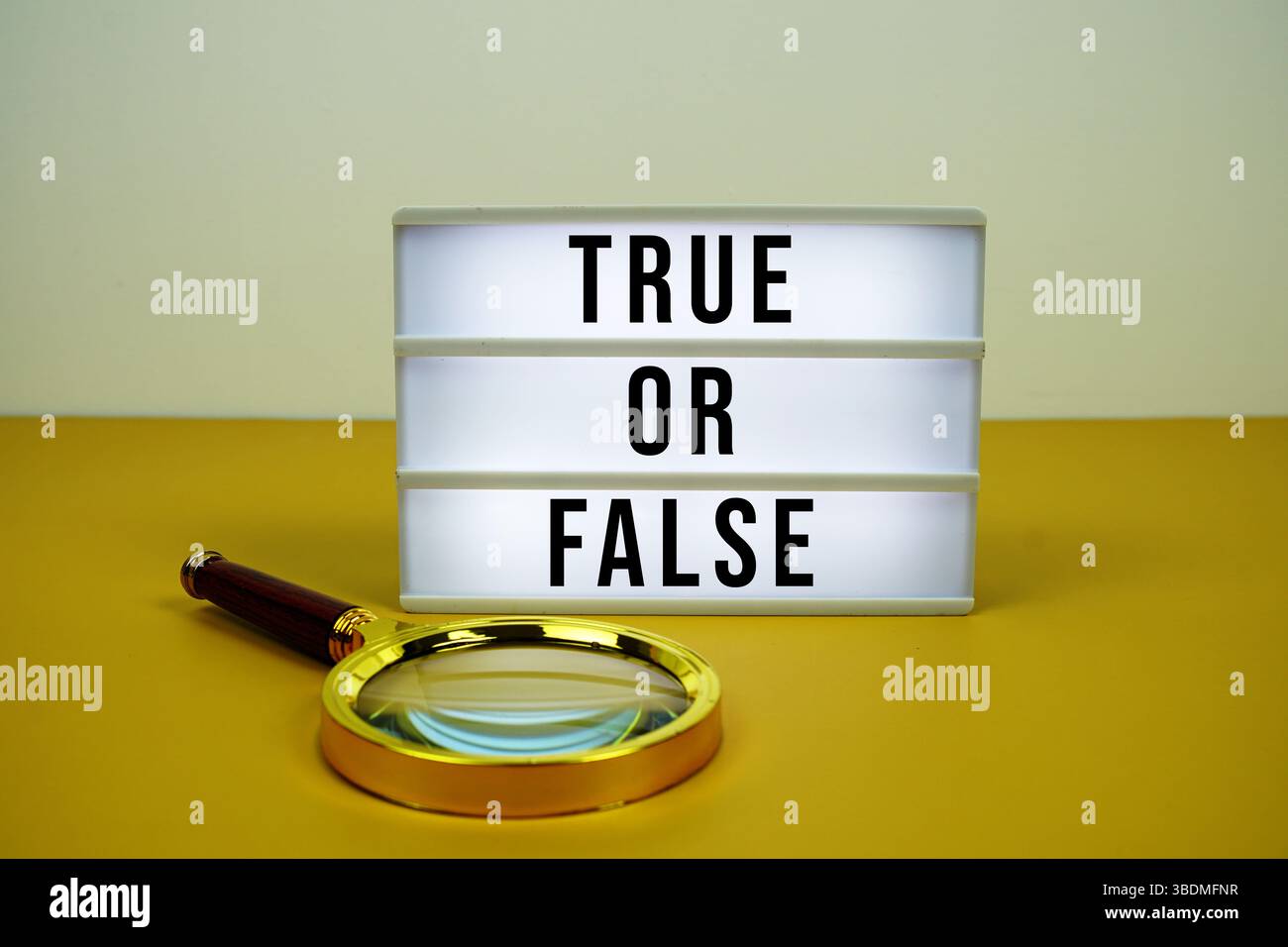 True or False text on light box with magnifying glass on yellow ...