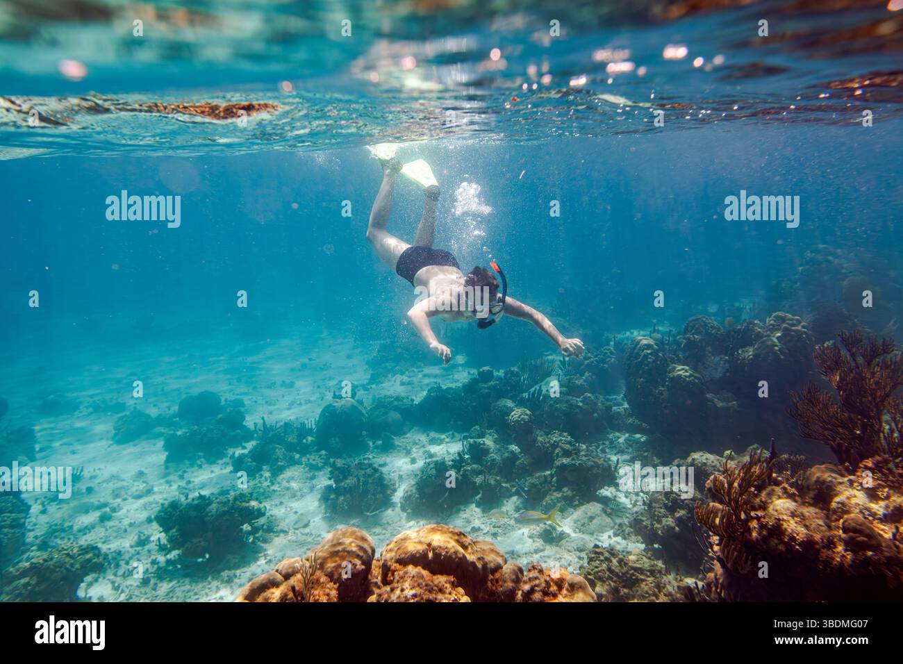 Snorkeling and skin diving on the coral reef edge in tropical waters ...