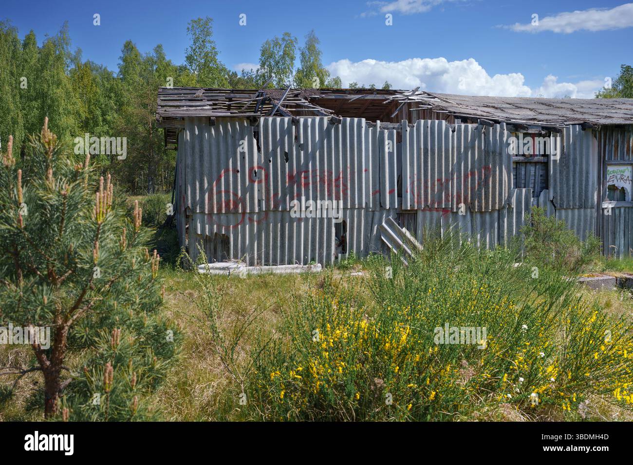 Old and very dangerous asbestos roof. Asbestos dust in the environment ...