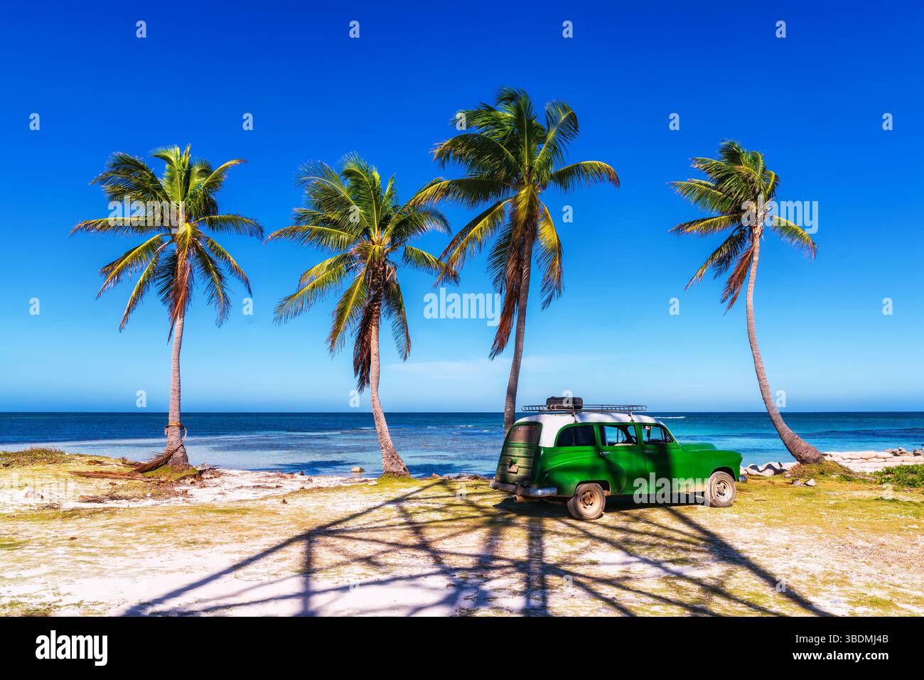 Beach coastline with palm trees hi-res stock photography and images - Alamy