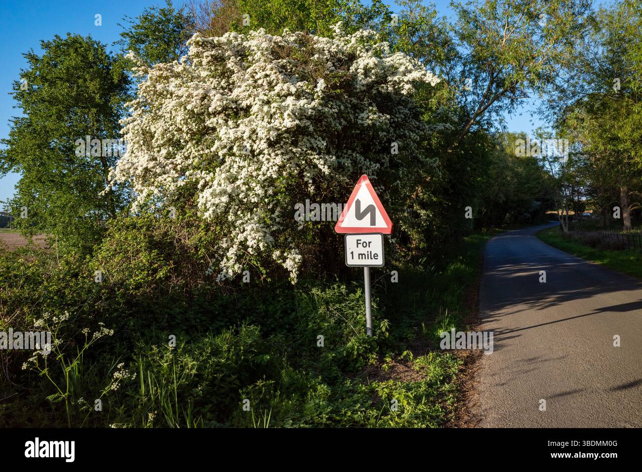 Bends in road for one mile sign Stock Photo - Alamy