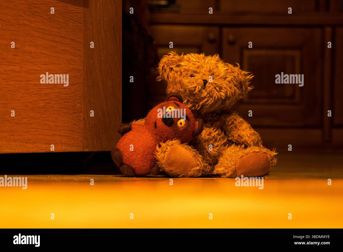 Teddy bear and wool toy on the floor in the home corridor in the ...