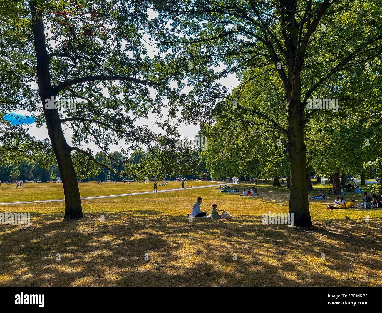 London, Great Britain, Urban Parks, Groups of People Sitting, Enjoying ...