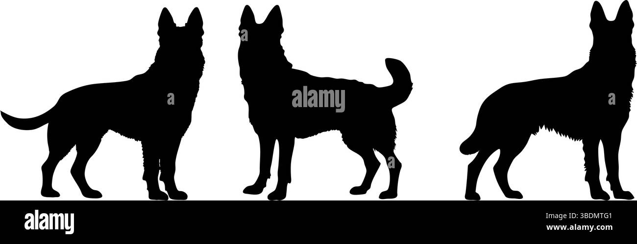 German shepherd in different poses. Dog breed silhouette Stock Vector ...