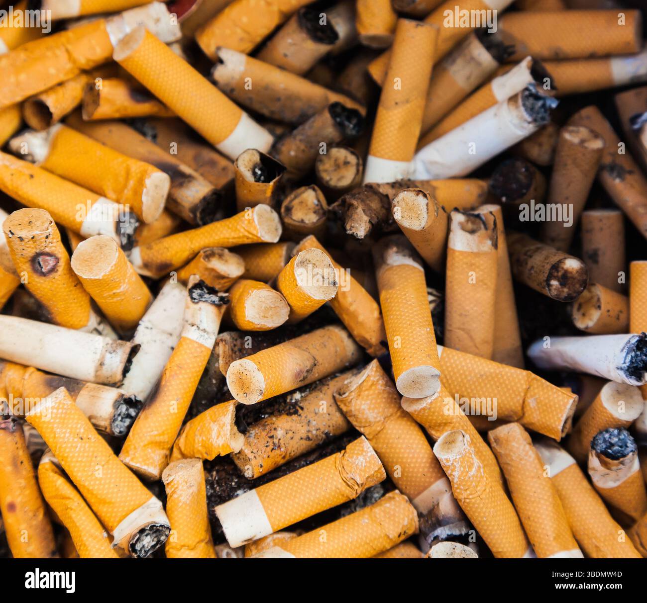 A bunch of cigarette butts Stock Photo - Alamy