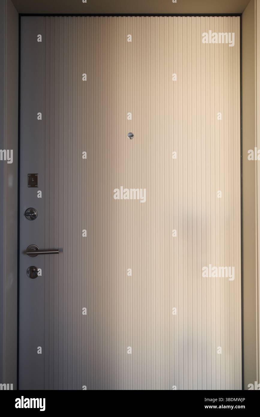 This contemporary entry door features a modern, minimalist design that ...