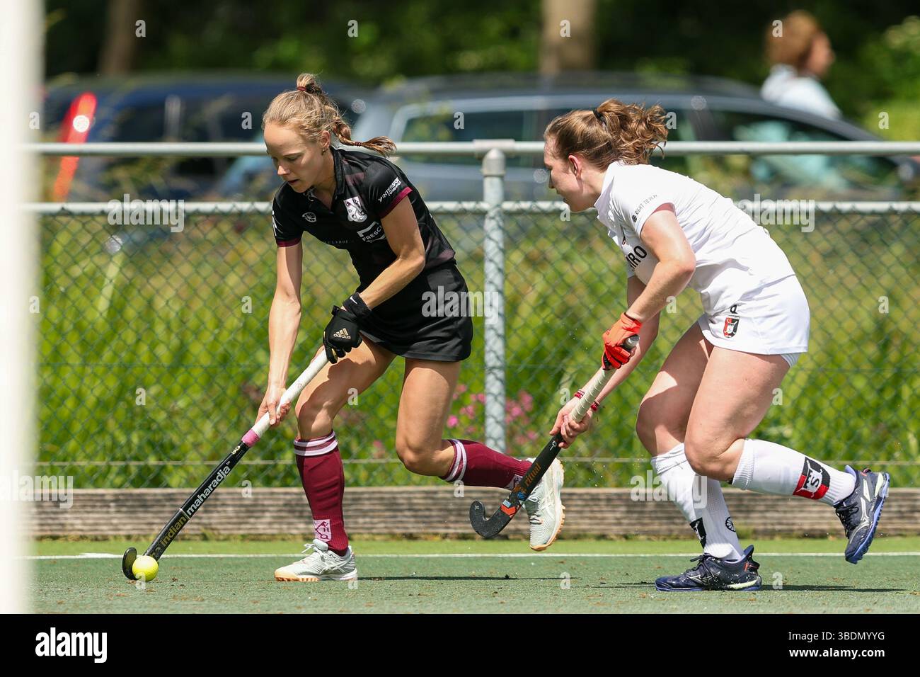 Ana van den berg hi-res stock photography and images - Alamy