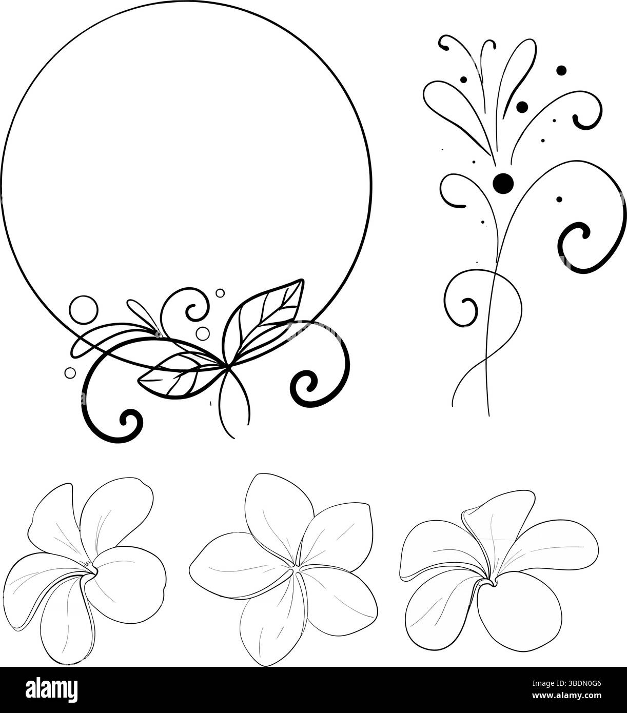 Vector circle frame with leaves, ornament, pattern and plumerias ...