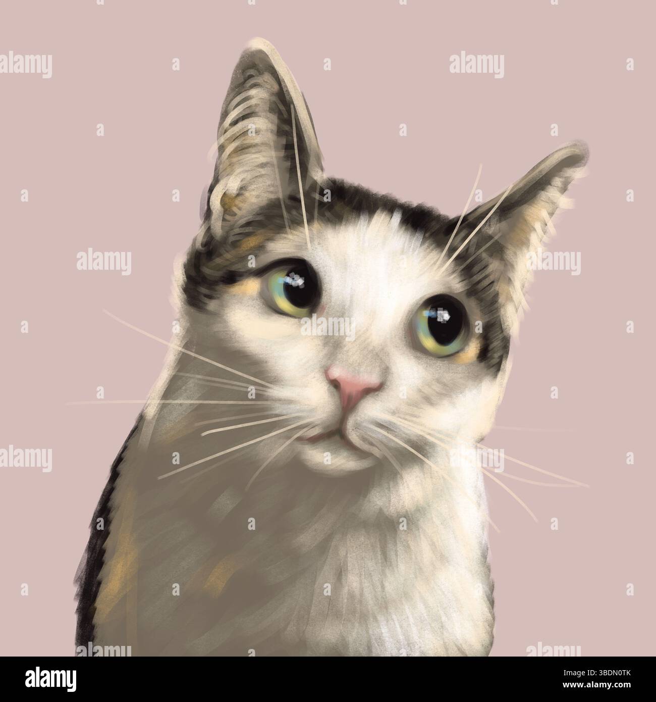 Funny Meme Cat Face Cartoon Style Art Illustration Stock Photo - Alamy