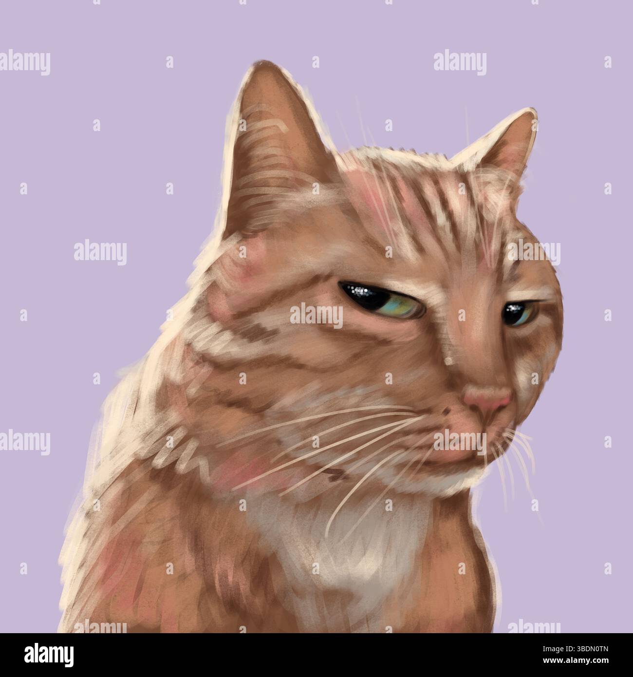 Funny Meme Cat Face Cartoon Style Art Illustration Stock Photo - Alamy