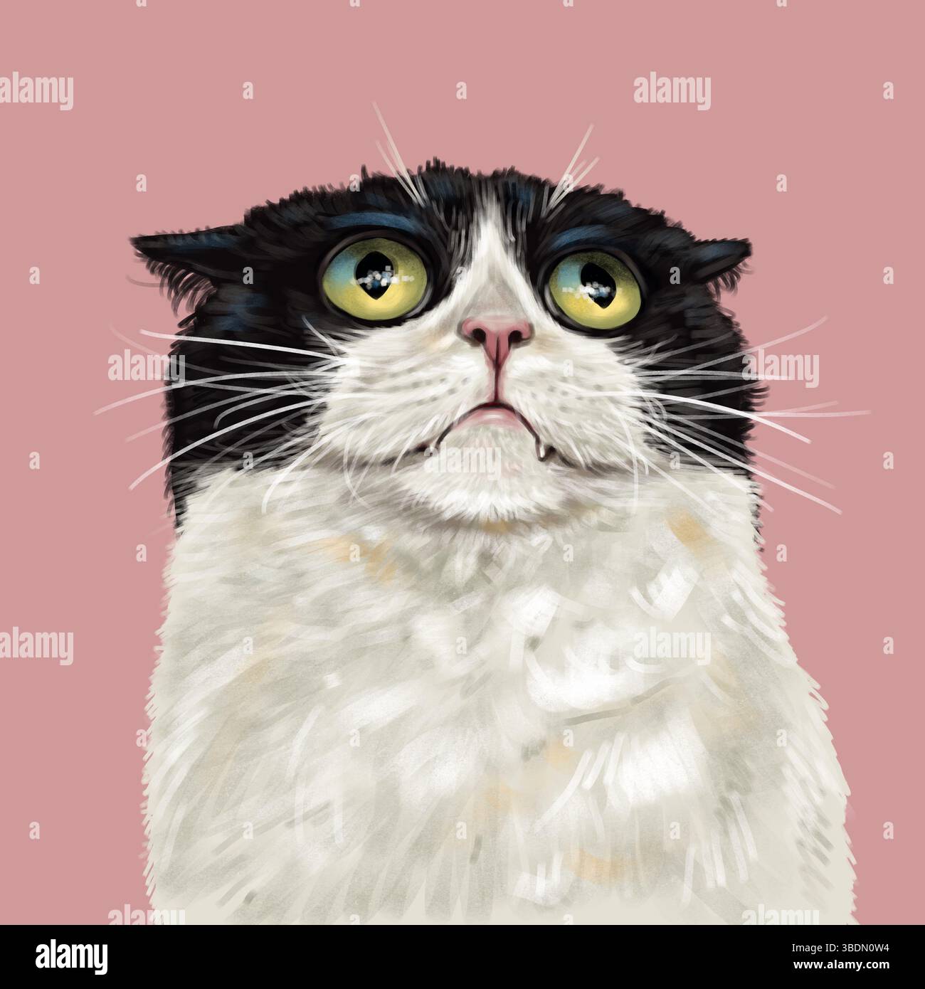 Funny Meme Cat Face Cartoon Style Art Illustration Stock Photo - Alamy