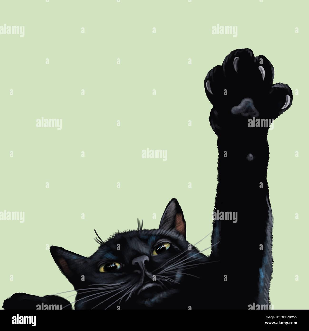 Funny Meme Cat Face Cartoon Style Art Illustration Stock Photo - Alamy