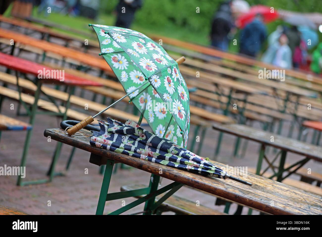 Tanne, Germany. 25th May, 2025. An umbrella lies on a beer tent set on ...