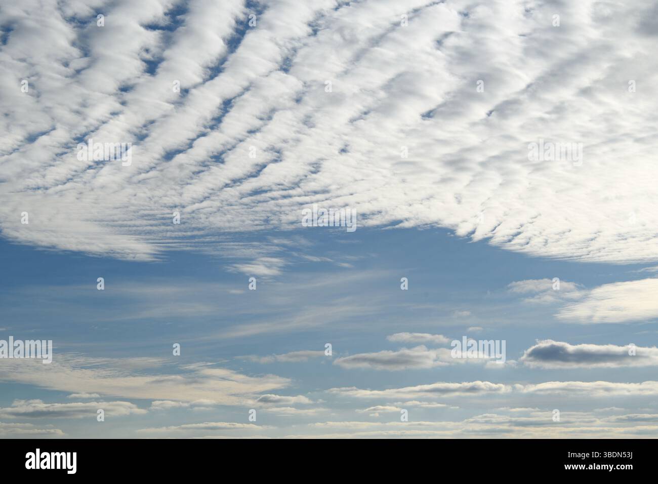 Aesthetic neutral photo. Horizontal photograph of light blue fluffy ...