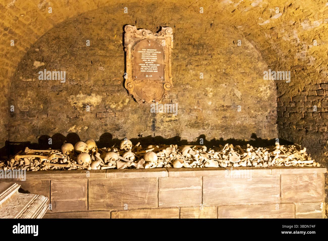 Vienna: Stephansdom (St. Stephen's Cathedral), catacombs, bones of dead ...