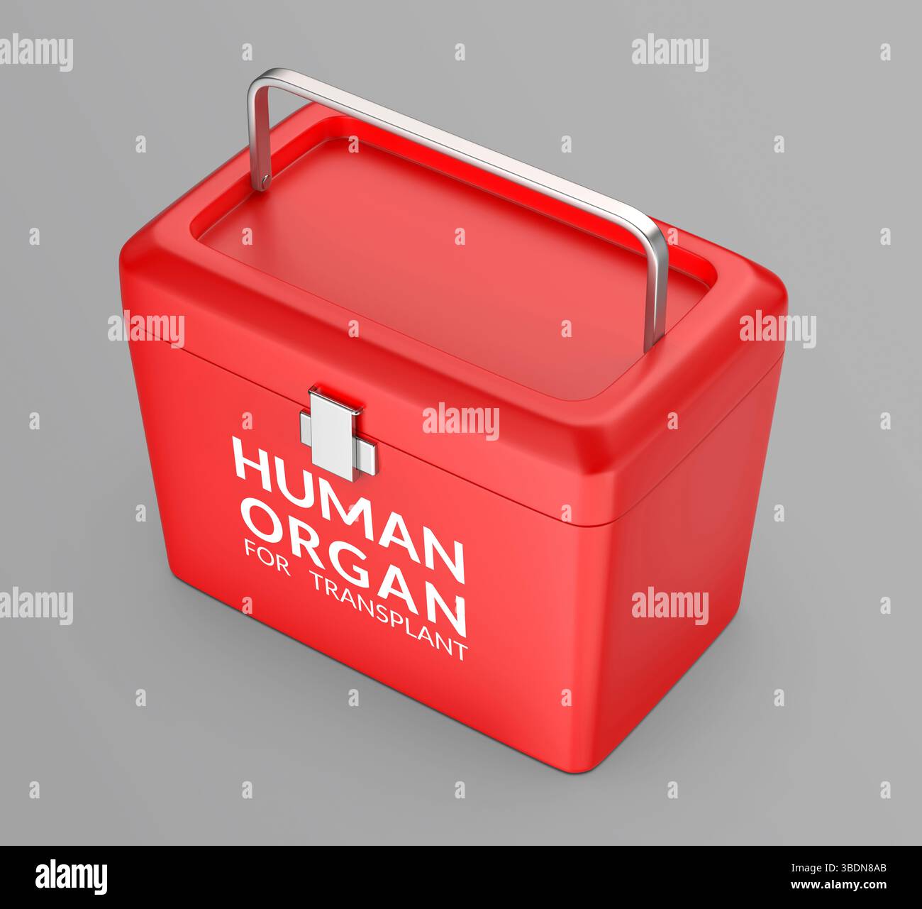 Human organ transport box on grey background Stock Photo - Alamy