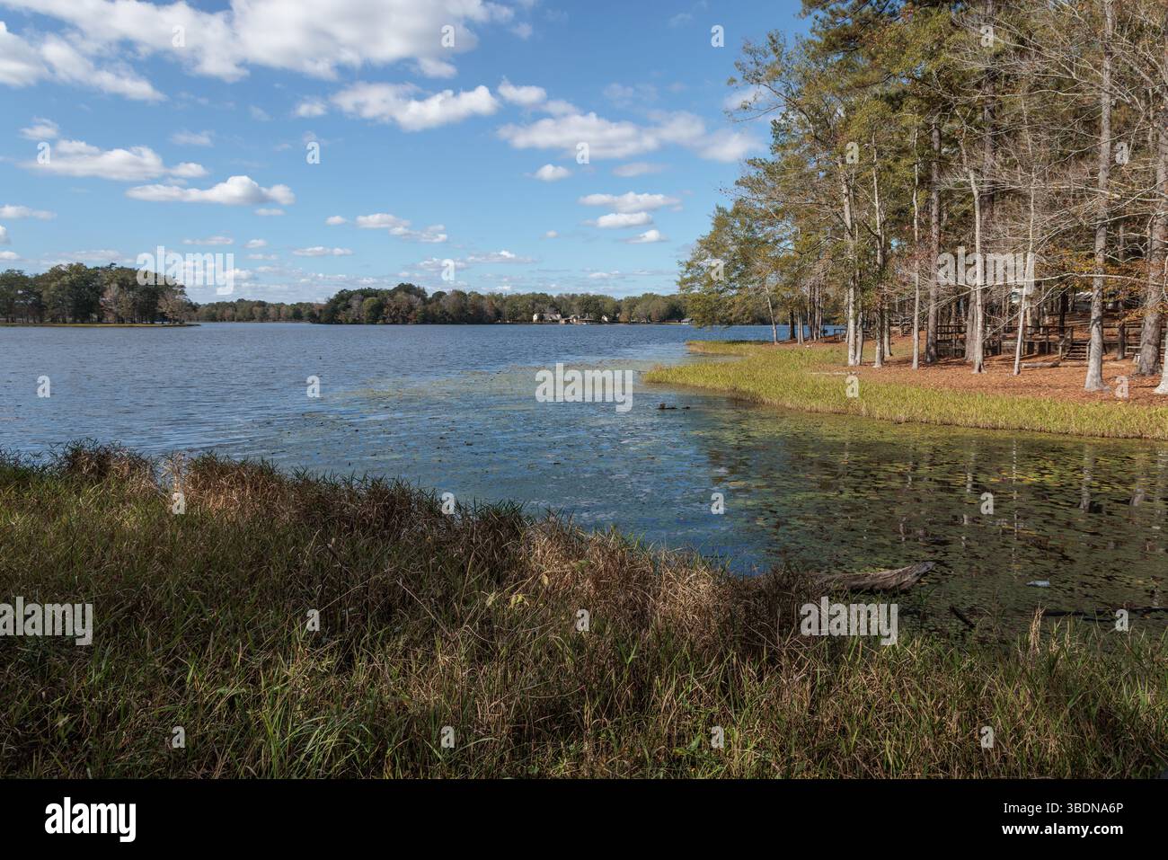 Archusa creek campground hi-res stock photography and images - Alamy