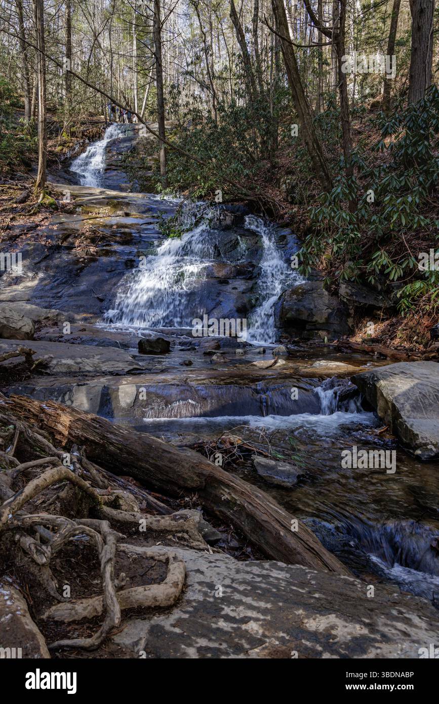 Fall Branch Falls along the Benton MacKaye Trail in the Chattahoochee ...