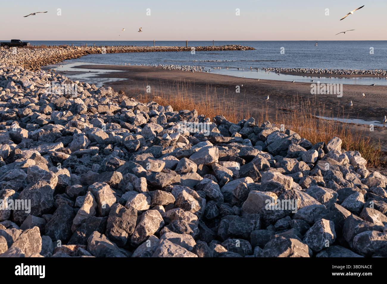 Rock jetty for erosion control contains the tidal waters of the ...