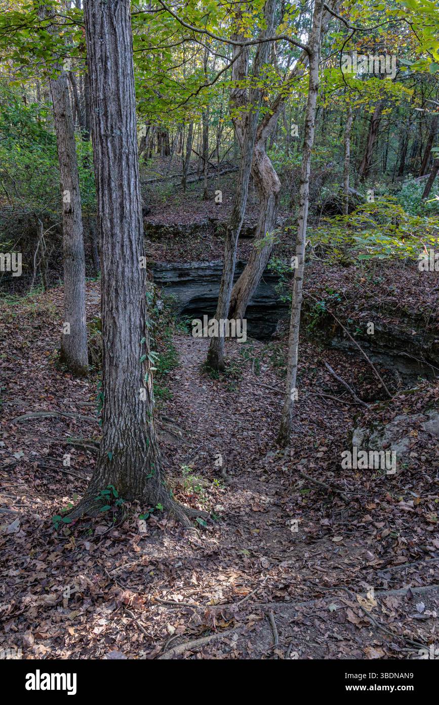 Hickory hill hi-res stock photography and images - Alamy