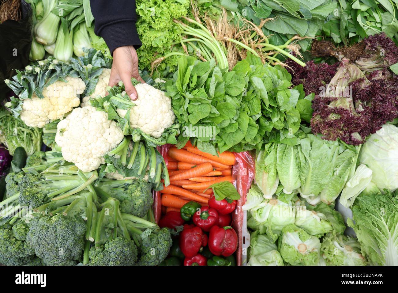 Top View Fresh Vegetable Produce Display at Indonesia Traditional Local ...