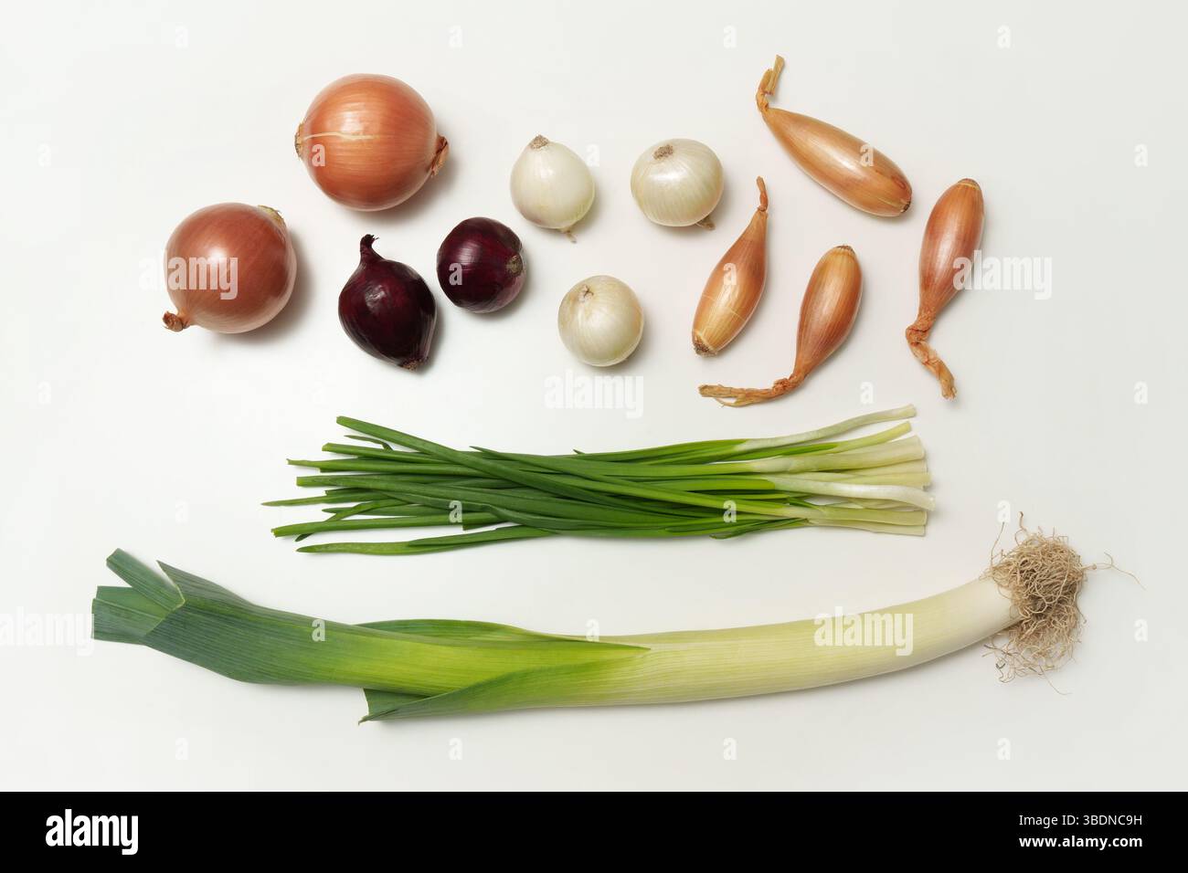 Different types of onions on a white background. Vegetables. Rapchata ...
