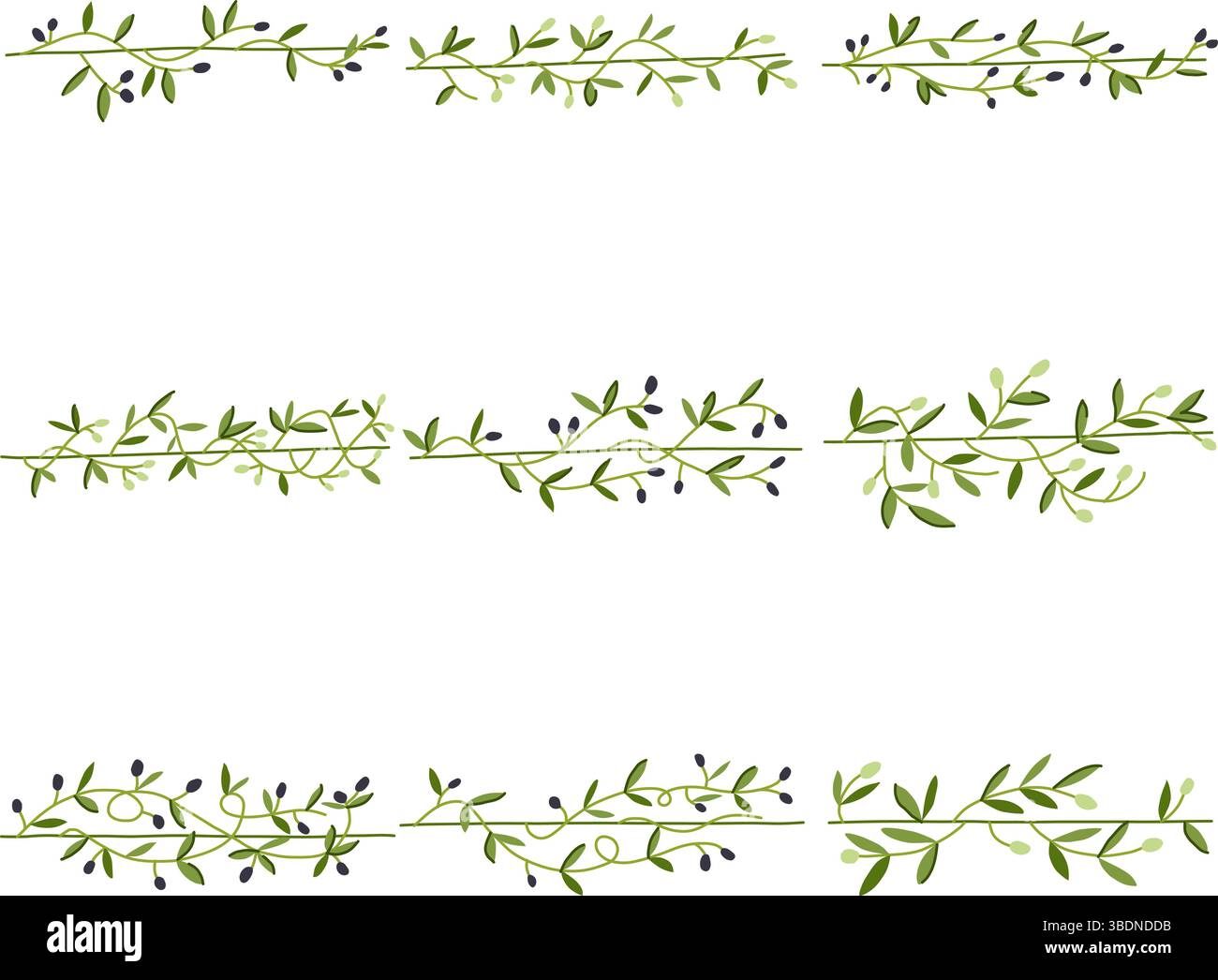 olive border divider set cartoon vector illustration Stock Vector Image ...