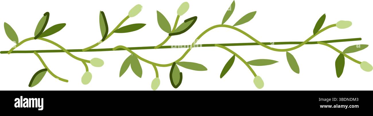 decoration olive border divider cartoon vector illustration Stock ...