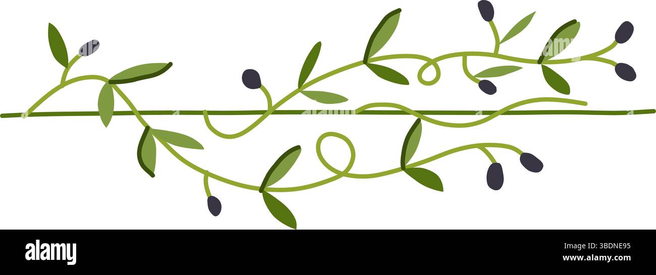 nature olive border divider cartoon vector illustration Stock Vector ...