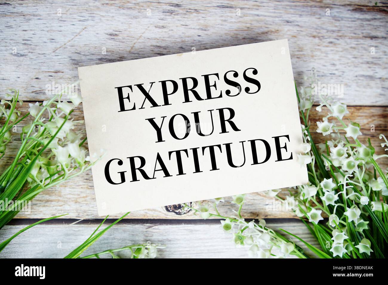 Express Your Gratitude Motivational And Inspirational Quotes Stock ...