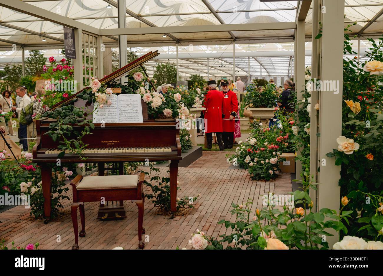 Rose display at Chelsea flower show Stock Photo - Alamy