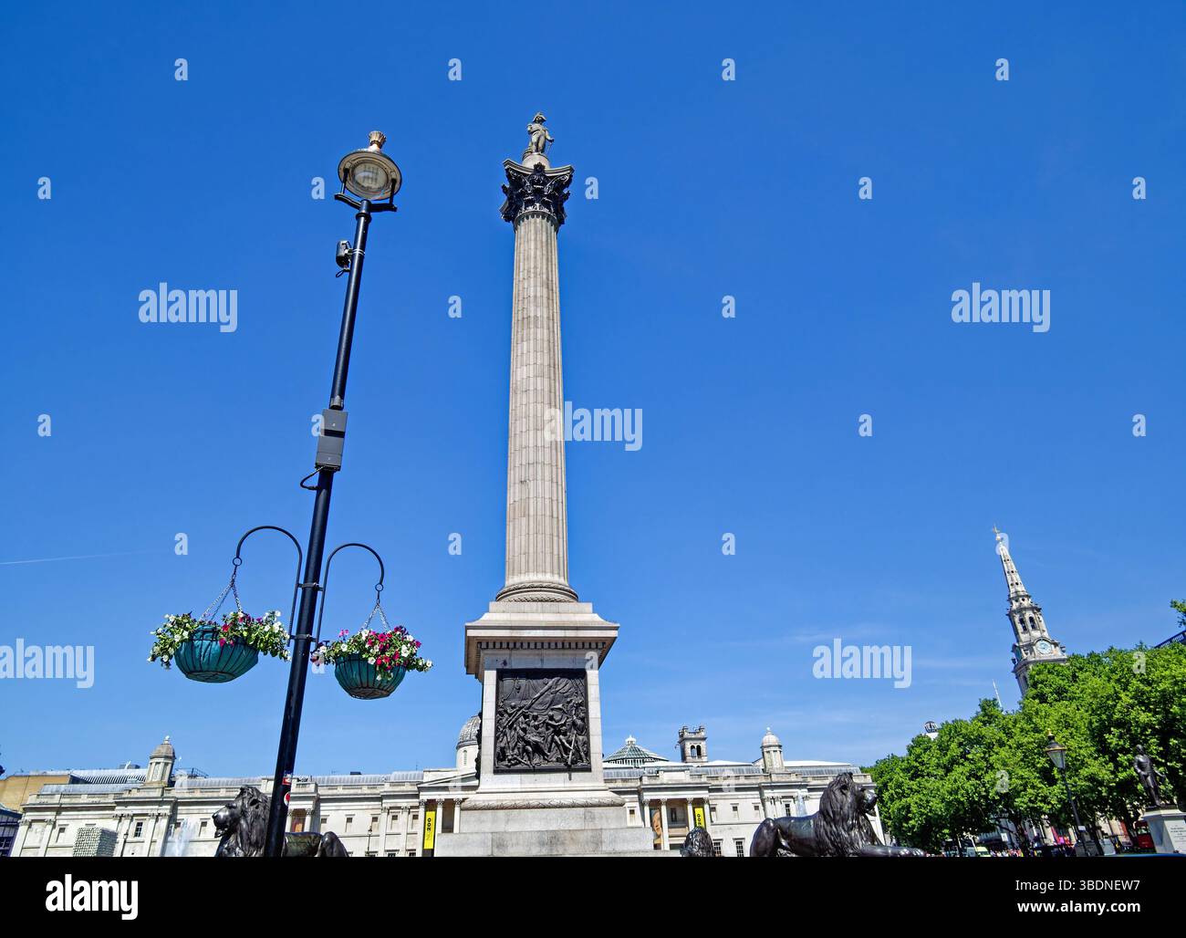 UK, London, Trafalgar Square, Nelson's Column, Lion Statues, St Martin ...
