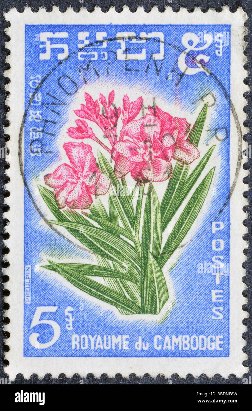 Cancelled postage stamp printed by Cambodia, that shows Oleander ...