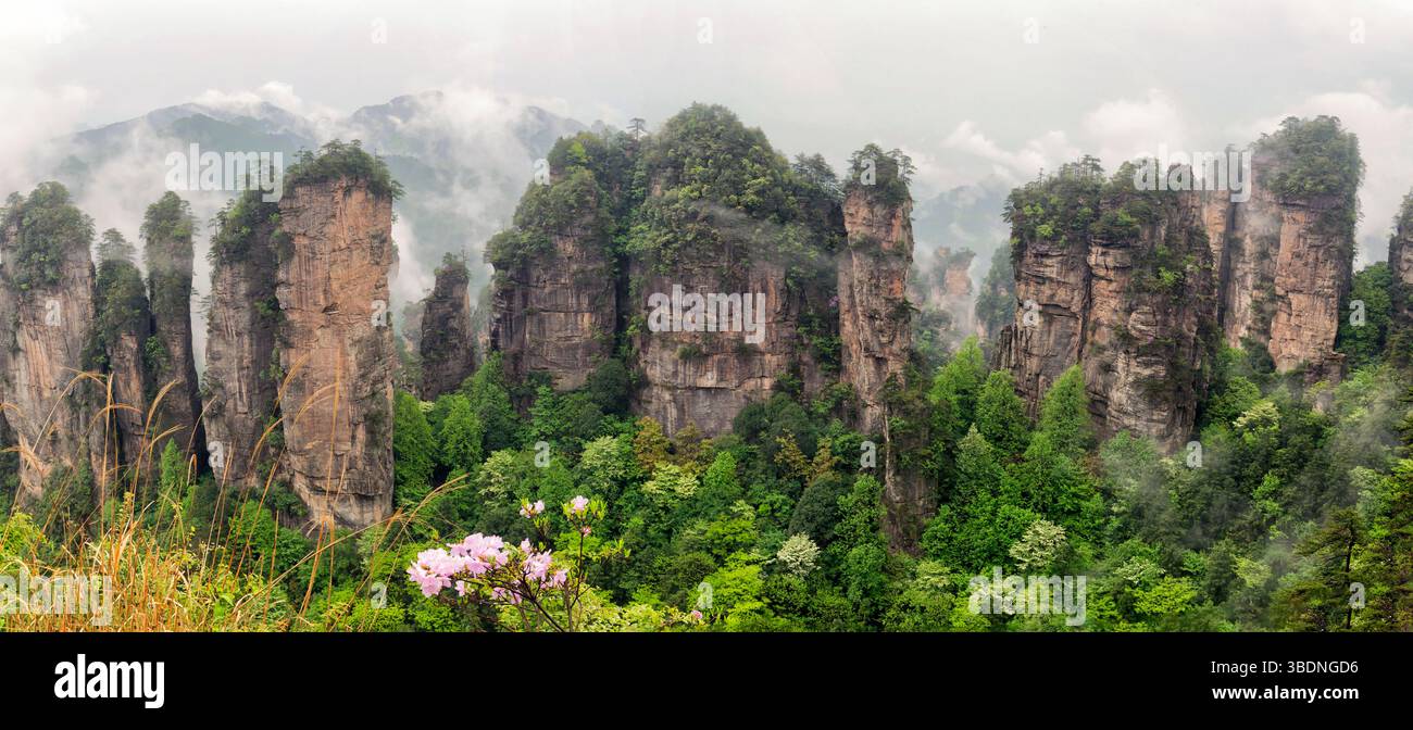 Hunan, china landscape hi-res stock photography and images - Alamy