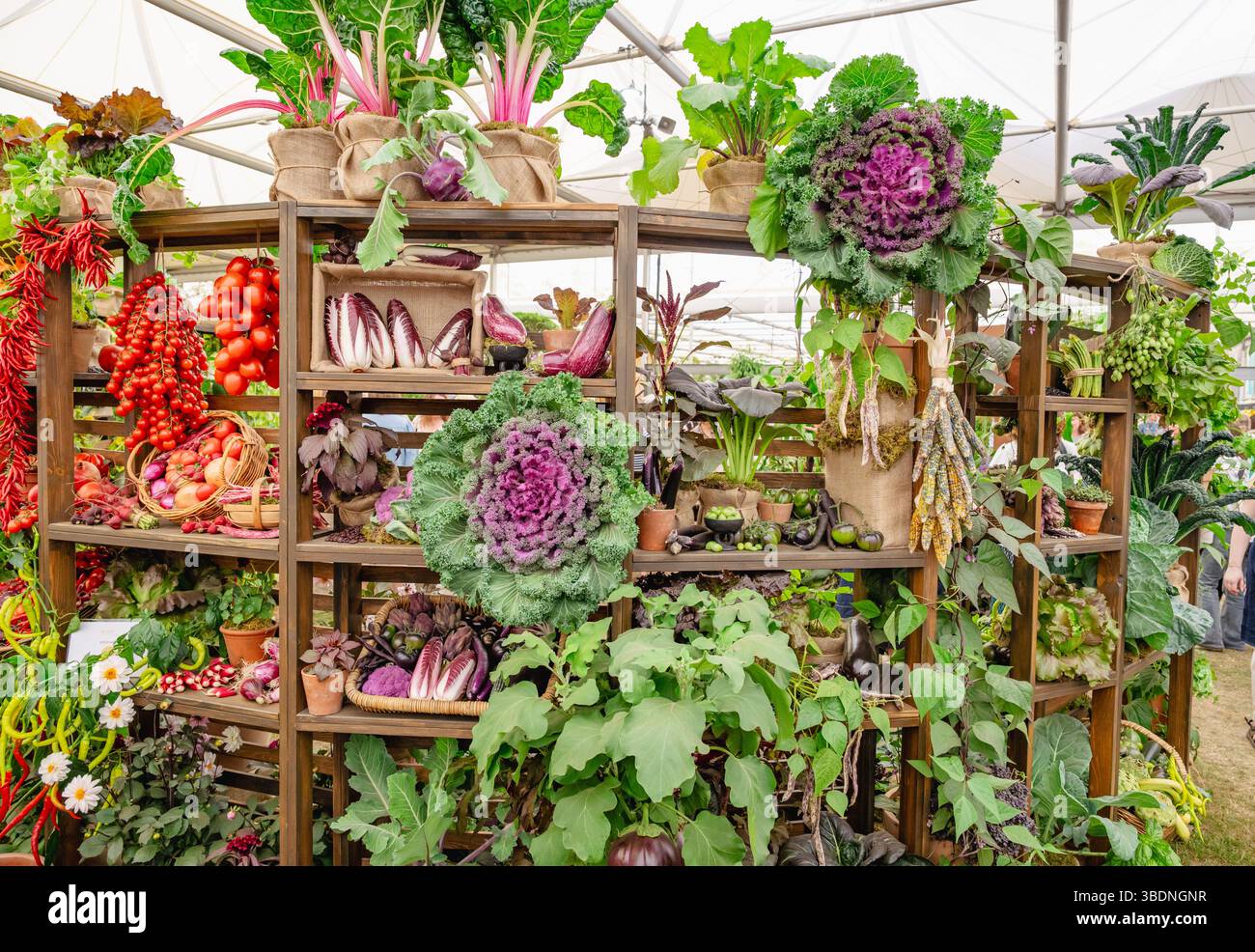 Vegetable display at Chelsea flower show Stock Photo - Alamy